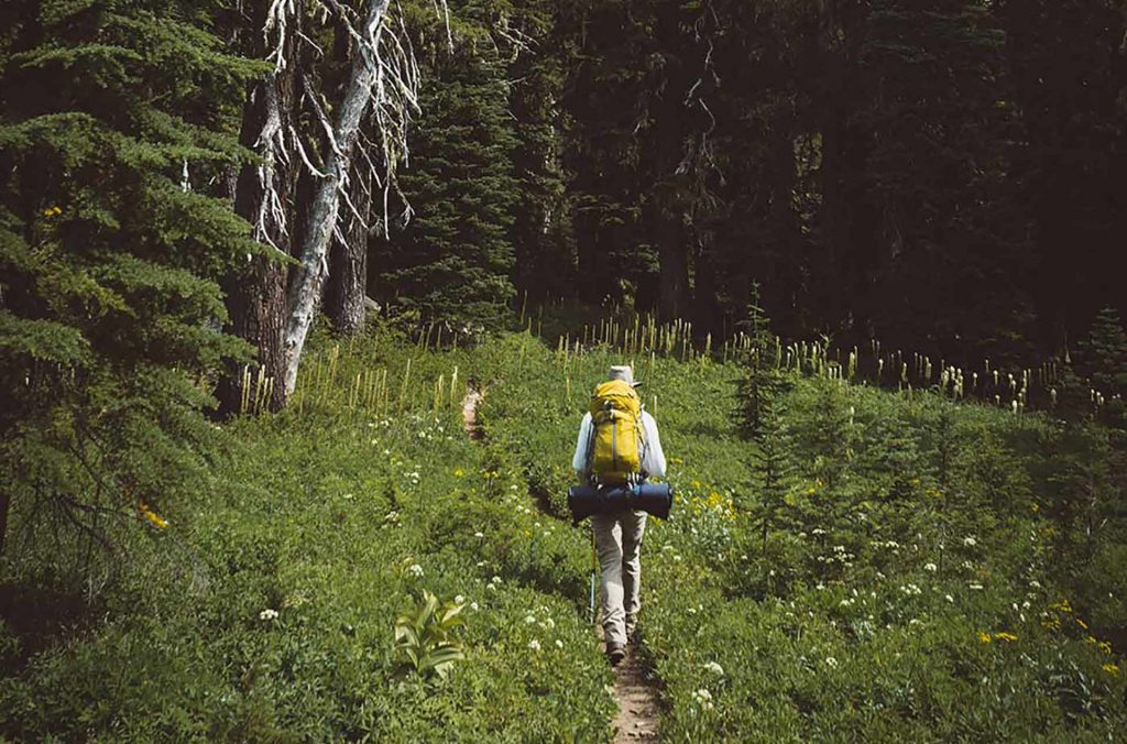 Hiking Blog – MyVoyage